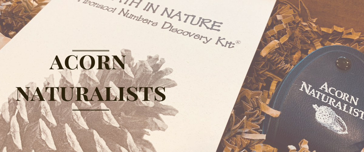 Our Story - Acorn Naturalists