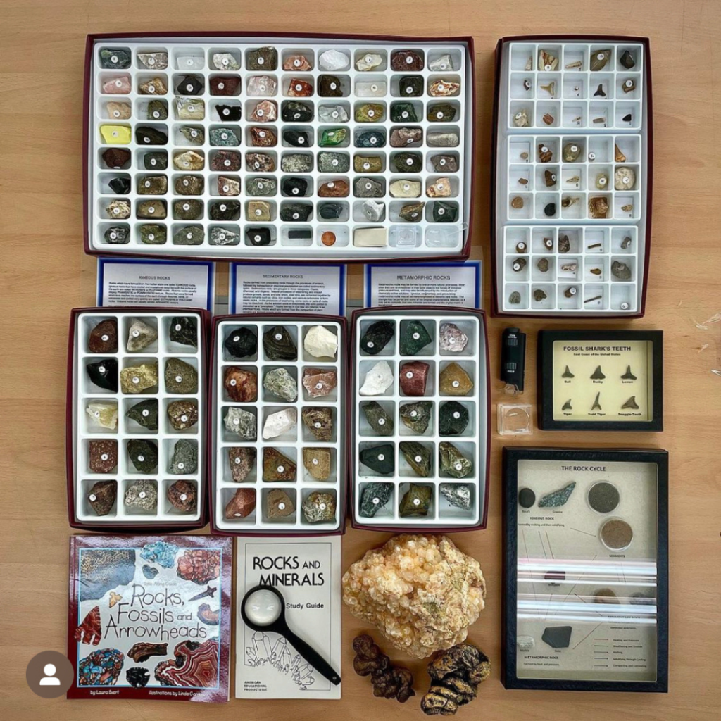 ‘If Students Love Nature, They’ll Protect It’: Why Scott Stewart Values ...