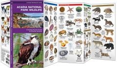 Pocket Naturalists Guides (National & State Parks)
