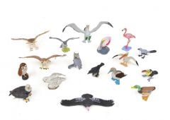 Bird Models - Science & Nature Models