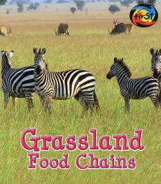 Grassland Food Chains