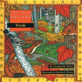 Woods (One Small Square Series)