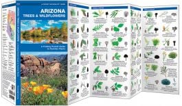 Arizona Trees & Wildflowers (Pocket Naturalist® Guide)