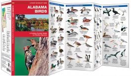 Alabama Birds (Pocket Naturalist® Guide)
