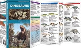 Dinosaurs, 2nd Edition: A Folding Pocket Guide to Familiar Species ...