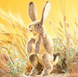 Jack Rabbit Puppet