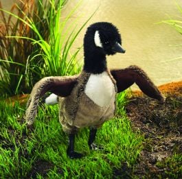 Canada Goose Puppet