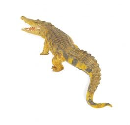 Saltwater Crocodile Model