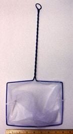 8" Fine Mesh Aquatic Dip Net