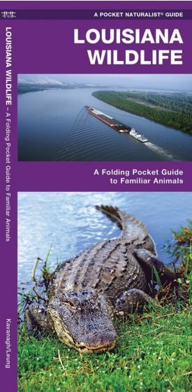 Louisiana Wildlife (Pocket Naturalist® Guide)
