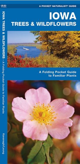 Iowa Trees & Wildflowers (Pocket Naturalist® Guide)