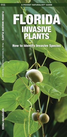 Florida Invasive Plants (Pocket Naturalist® Guide)