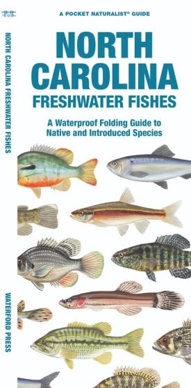 North Carolina Freshwater Fishes (Pocket Naturalist® Guide)