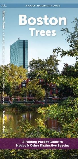 Boston Trees (Pocket Naturalist® Guide)