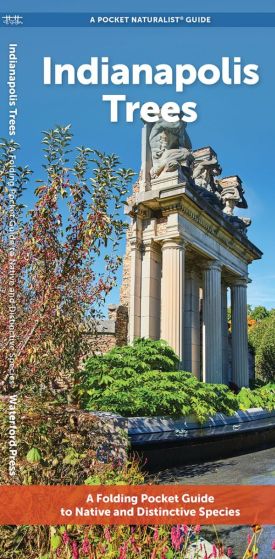 Indianapolis Trees (Pocket Naturalist® Guide)