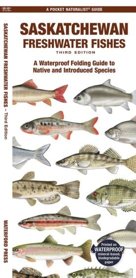 Saskatchewan Freshwater Fishes, 3rd Edition (Pocket Naturalist® Guide)