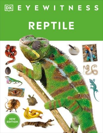Reptile (Eyewitness Books® Series)