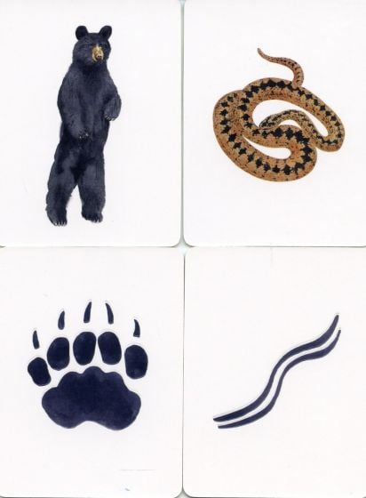 Match a Track Near You: Match 25 Animals To Their Paw Prints