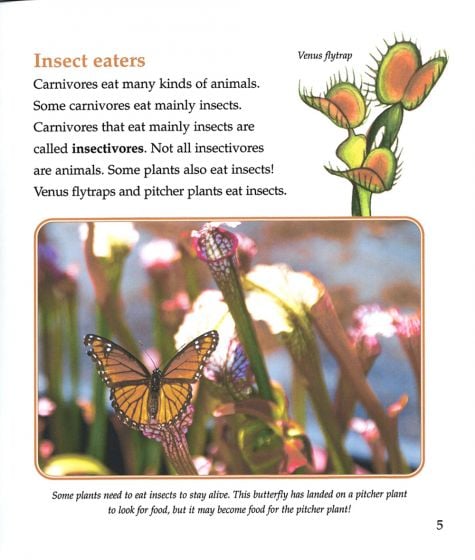 Insect Eaters (Big Science Ideas Series)