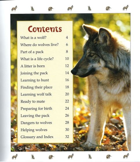 Life Cycle of a Wolf