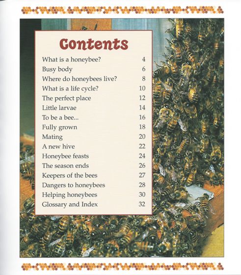 Life Cycle of a Honeybee