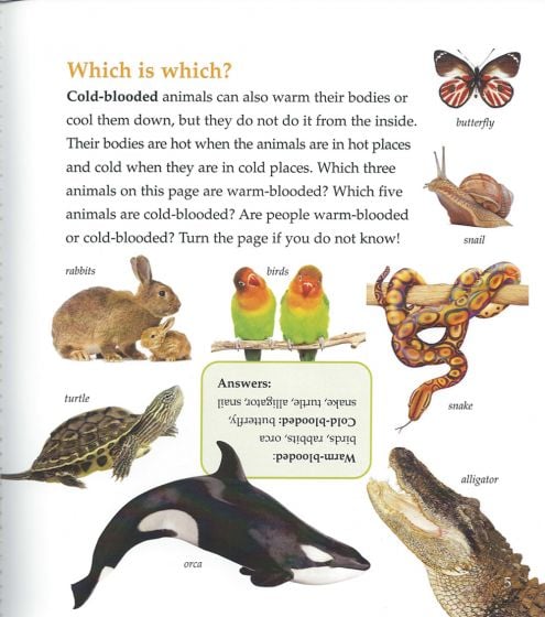 Warm-Blooded or Cold-Blooded? (Big Science Ideas Series)