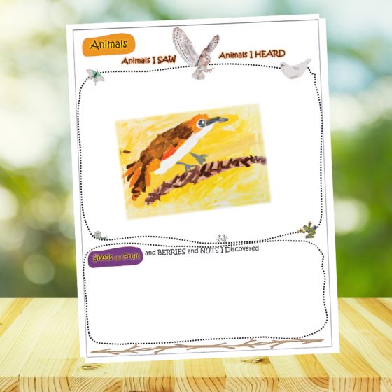 Young Explorers Nature Journal: Observing Activities for Exploring ...