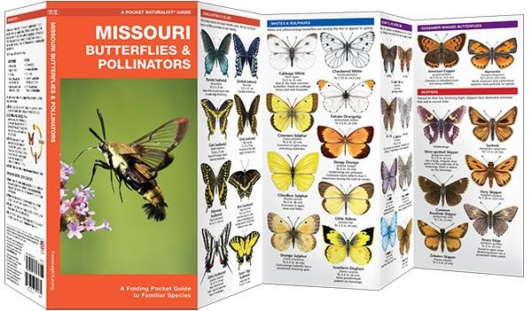 Missouri Butterflies & Pollinators (Pocket Naturalist® Guide)