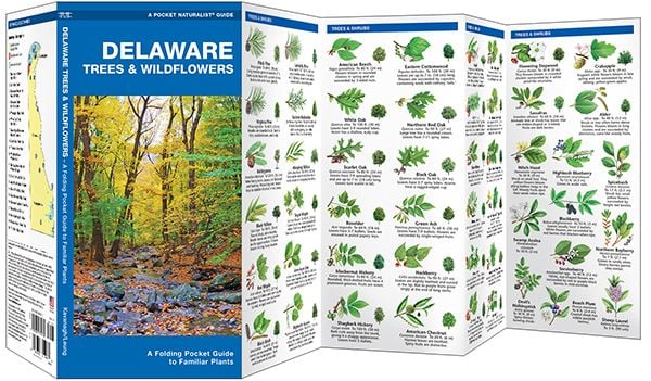 Delaware Trees & Wildflowers, 2nd Edition (Pocket Naturalist® Guide)