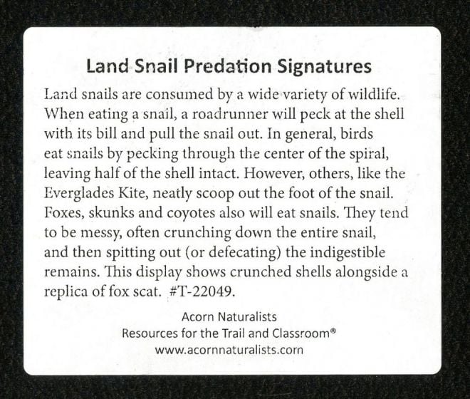 Land Snail Predation Signature Display (Animal Signatures® Display Series)