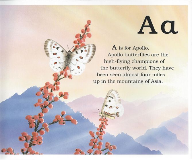 The Butterfly Alphabet Book