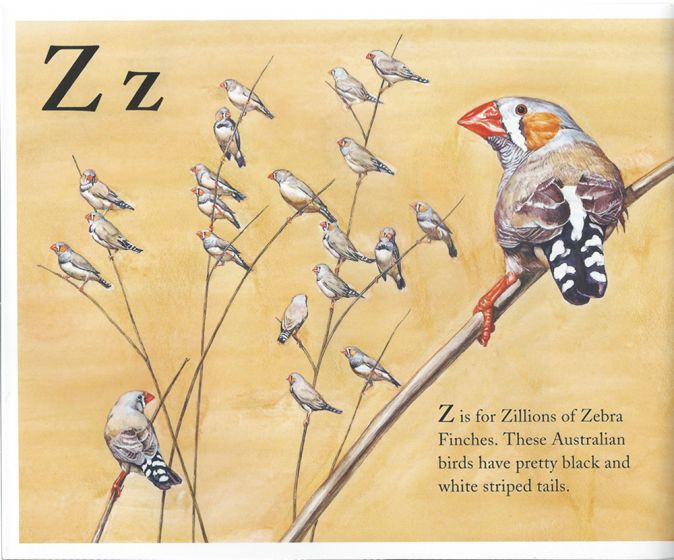 The Bird Alphabet Book