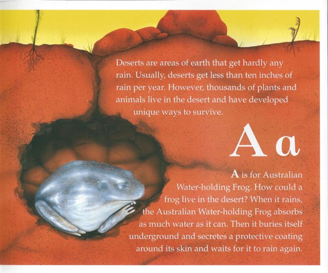 The Desert Alphabet Book