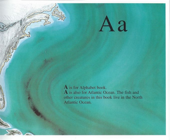The Ocean Alphabet Book