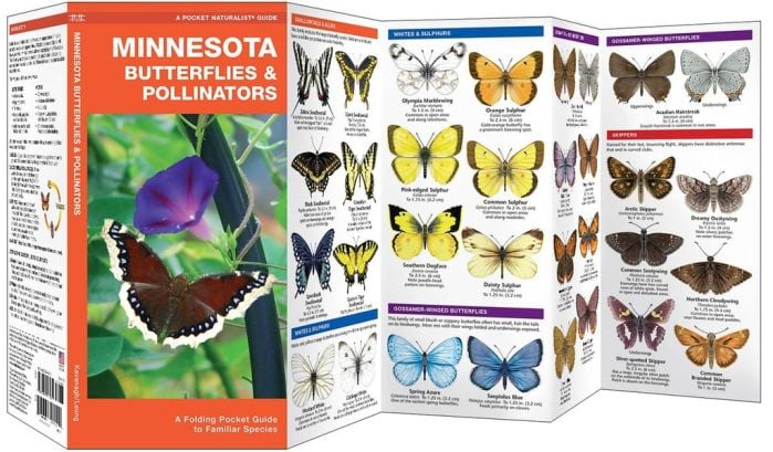 Minnesota Butterflies & Pollinators (Pocket Naturalist® Guide)