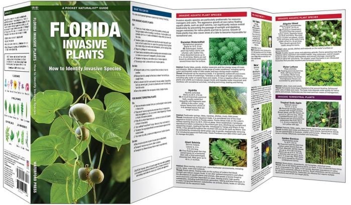 Florida Invasive Plants (Pocket Naturalist® Guide)
