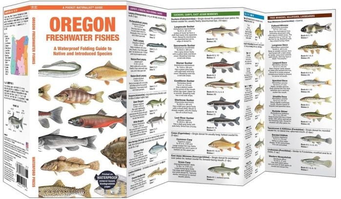 Oregon Freshwater Fishes (Pocket Naturalist® Guide)