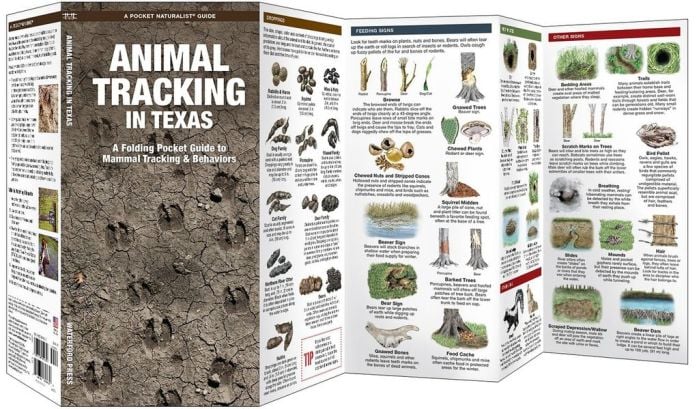 Animal Tracking in Texas (Pocket Naturalist® Guide)