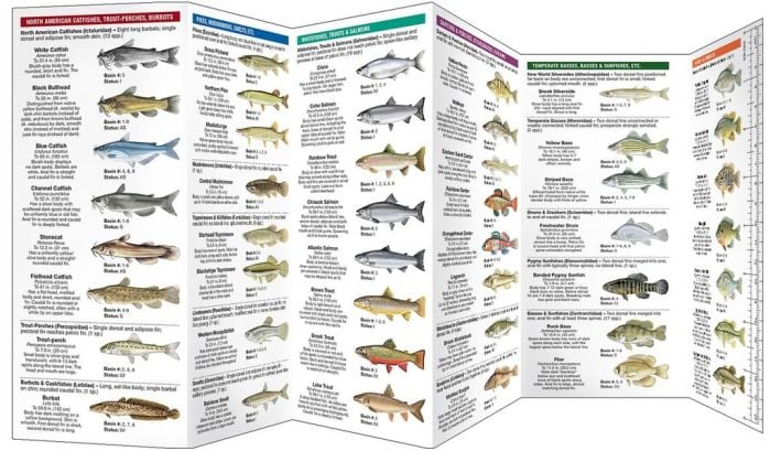 Indiana Freshwater Fishes (Pocket Naturalist® Guide)