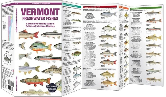 Vermont Freshwater Fishes (Pocket Naturalist® Guide)