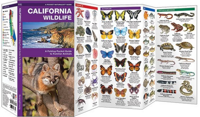 California Wildlife (Pocket Naturalist® Guide)