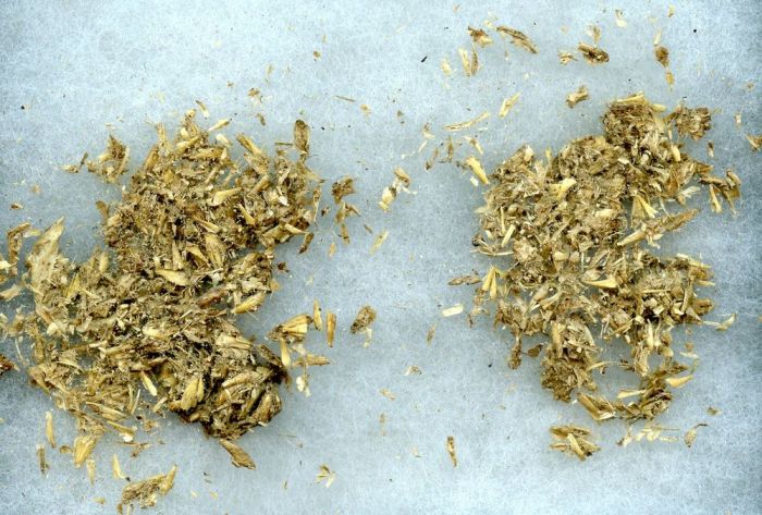 Raven/Owl Pellet Signature Display (Animal Signatures® Display Series)