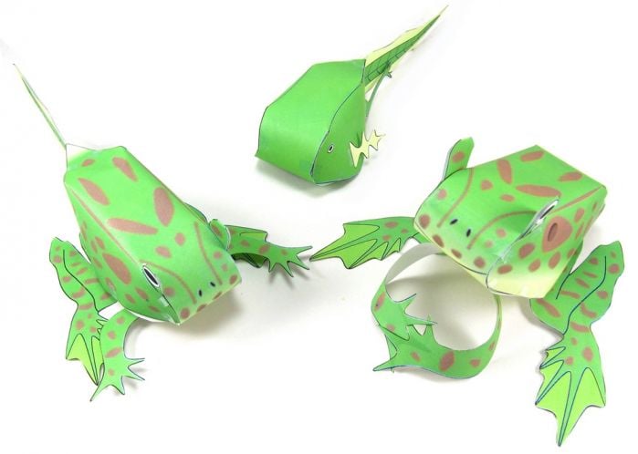 Frog Life Cycle 3-D Model Making Kit®