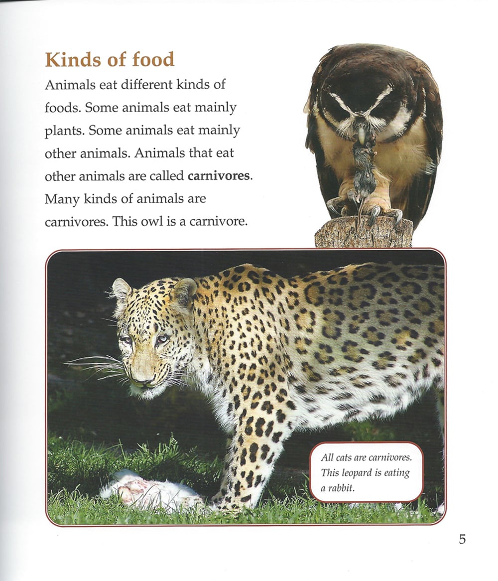 Science Year 2 World Of Animals Carnivores Animals