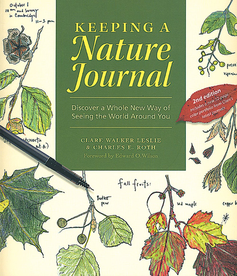 Keeping A Nature Journal Discovering A Whole New Way Of Seeing The keeping-a-nature-journal-discovering-a-whole-new-way-of-seeing-the