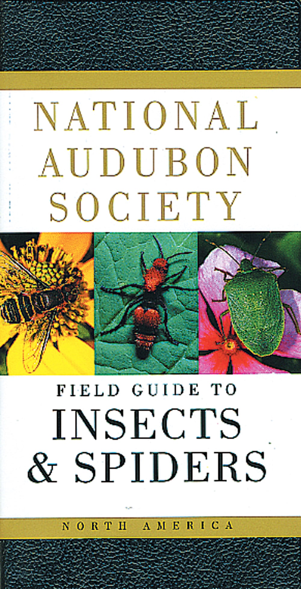 Field Guide to Insects & Spiders (National Audubon Society®)