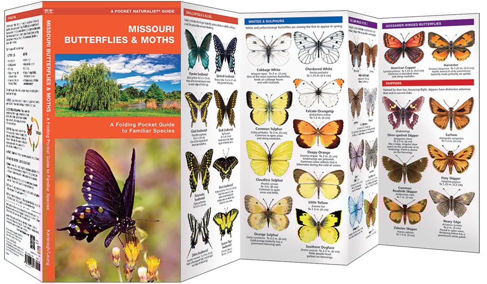 Missouri Butterflies & Moths (Pocket Naturalist® Guide)