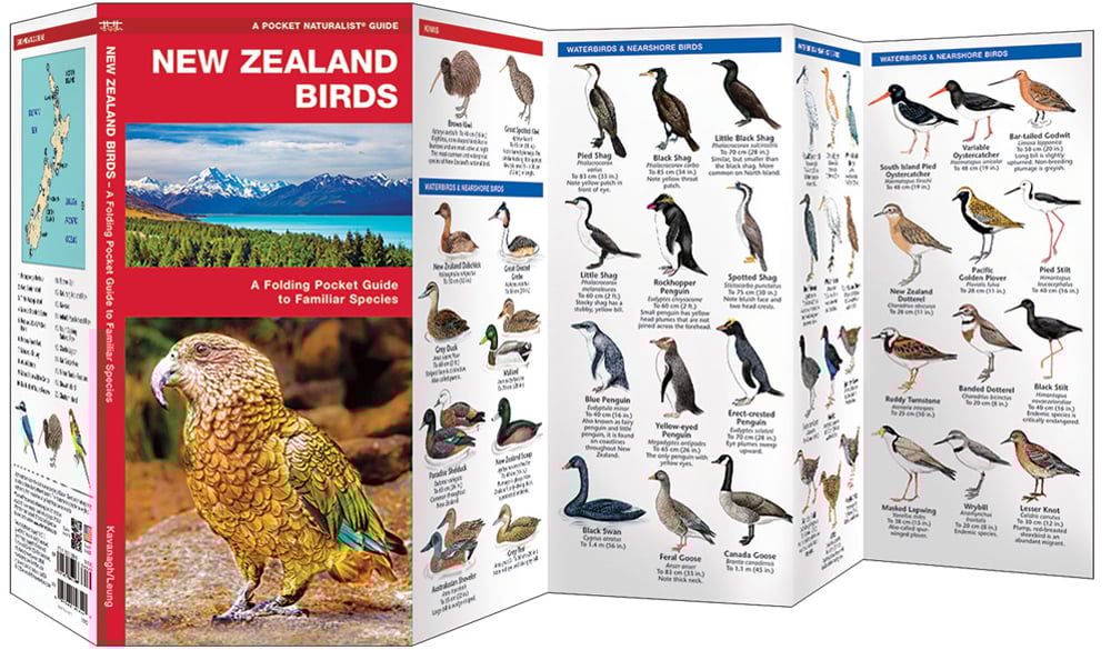 New Zealand Birds (Pocket Naturalist® Guide)