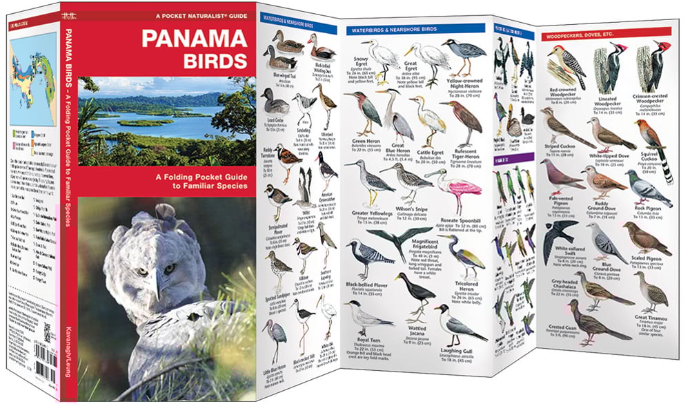 Panama Birds (Pocket Naturalist® Guide)