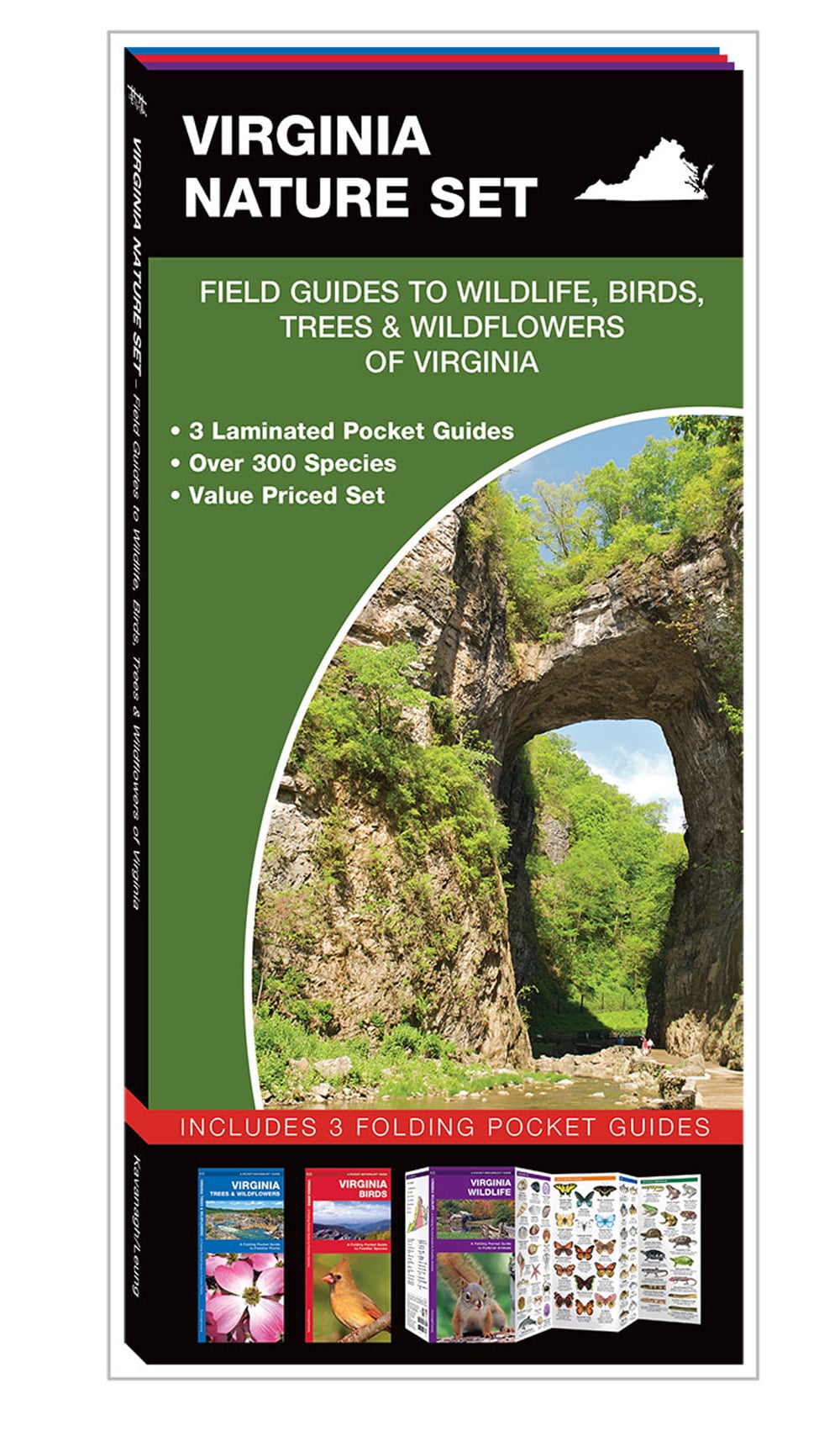 Virginia Nature Set: Field Guides to Wildlife, Birds, Trees ...